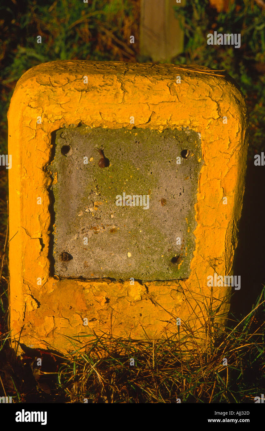 Yellow water hydrant marker surround Stock Photo - Alamy