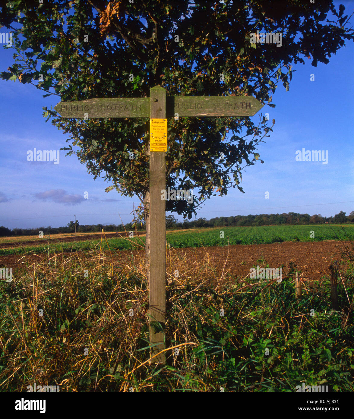 Rural public footpath signpost in front of a bush and field Stock Photo ...