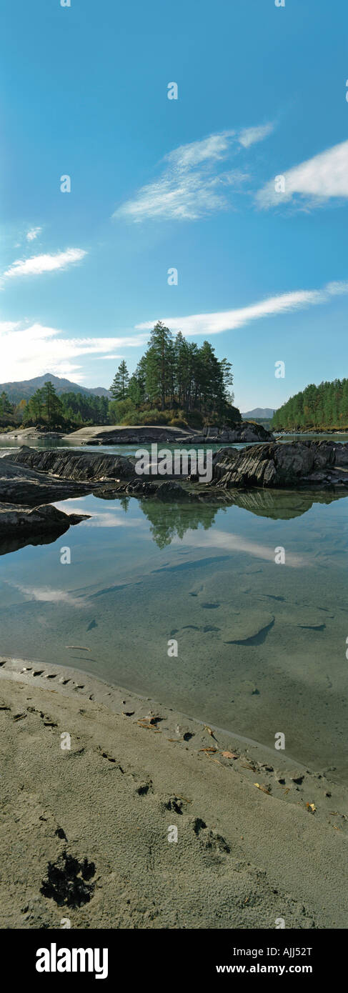 Altai dog hi-res stock photography and images - Alamy