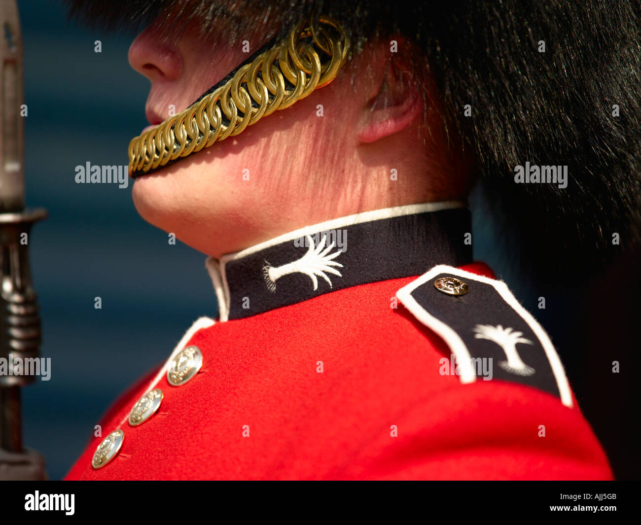 Welsh guard hi-res stock photography and images - Alamy
