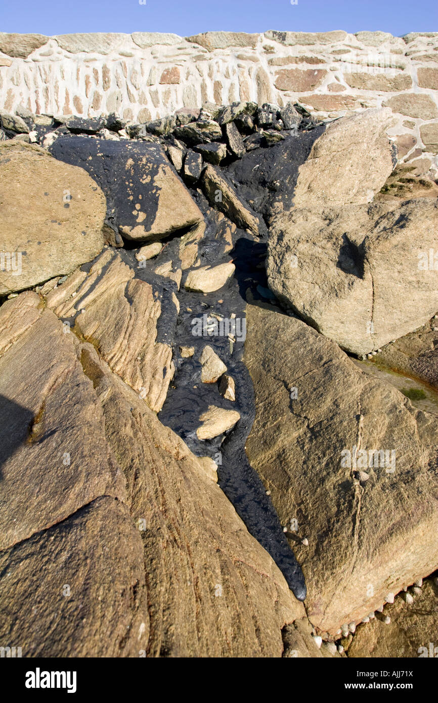 Solidified oil on rocky coastline Cherbourg France Stock Photo - Alamy