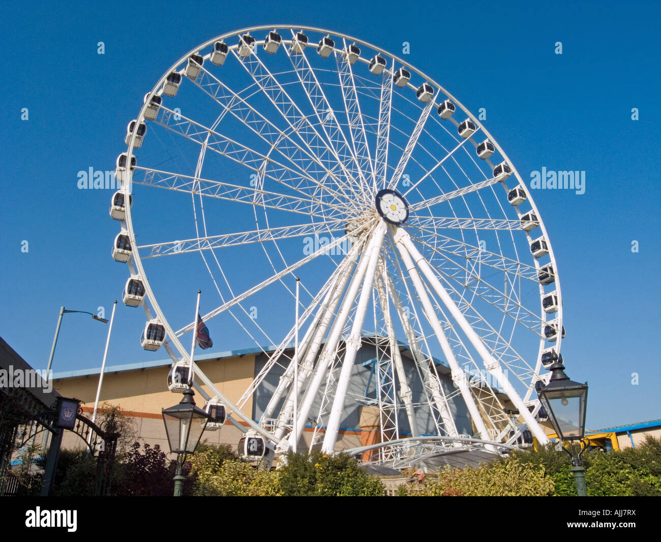 Rose wheel hi-res stock photography and images - Alamy