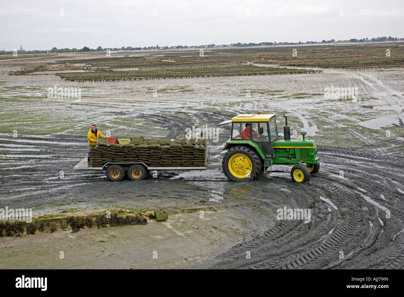 Tractor with loaded trailer hi-res stock photography and images - Alamy