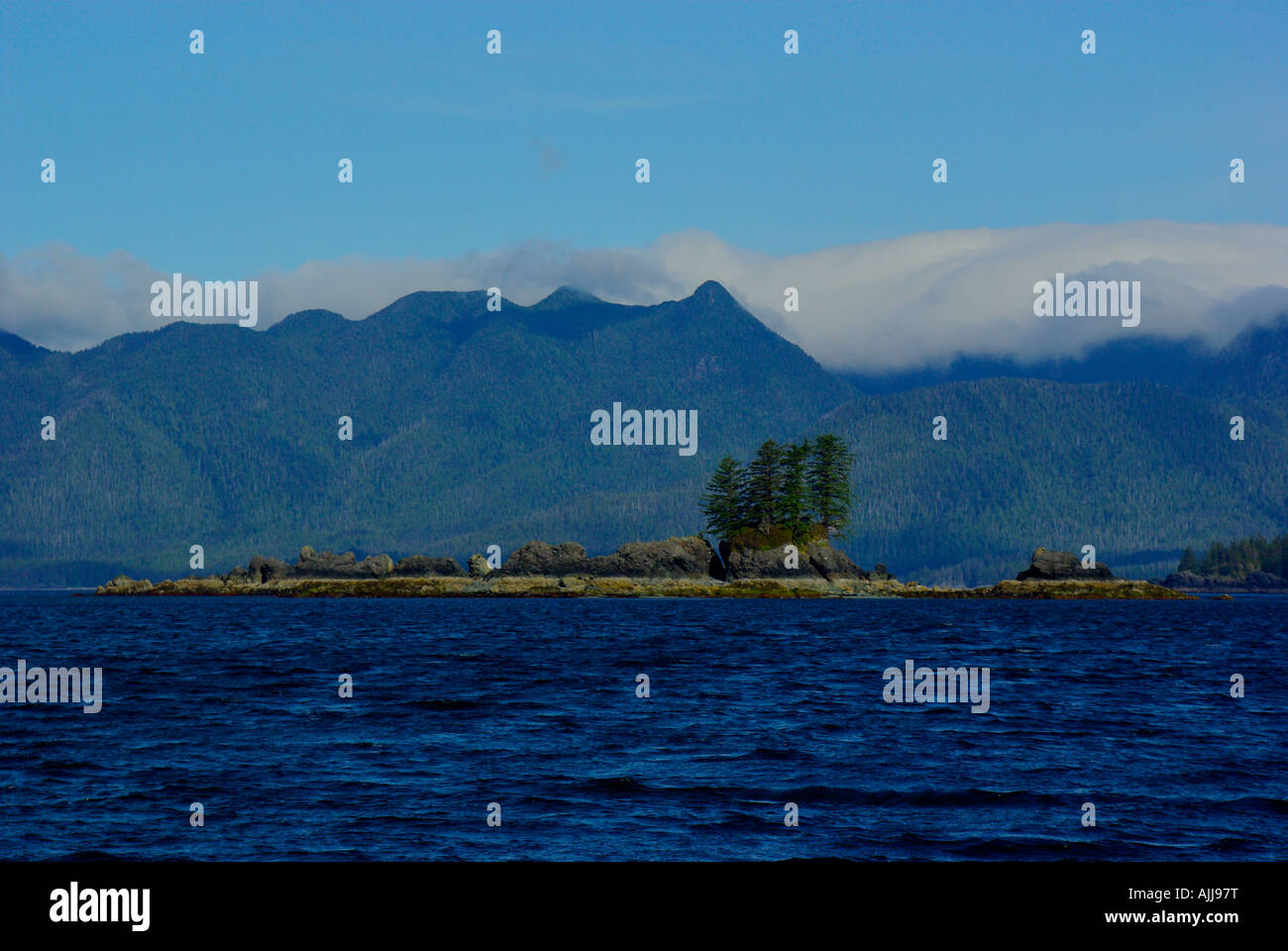 Kyuquot Stock Photos & Kyuquot Stock Images - Alamy