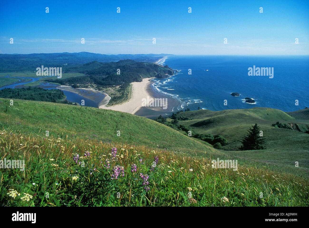 View of the Oregon coast from The Nature Conservancys Cascade Head ...