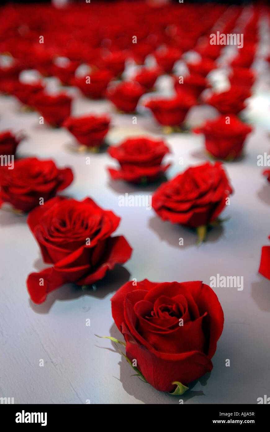 Decorative display of roses Stock Photo - Alamy