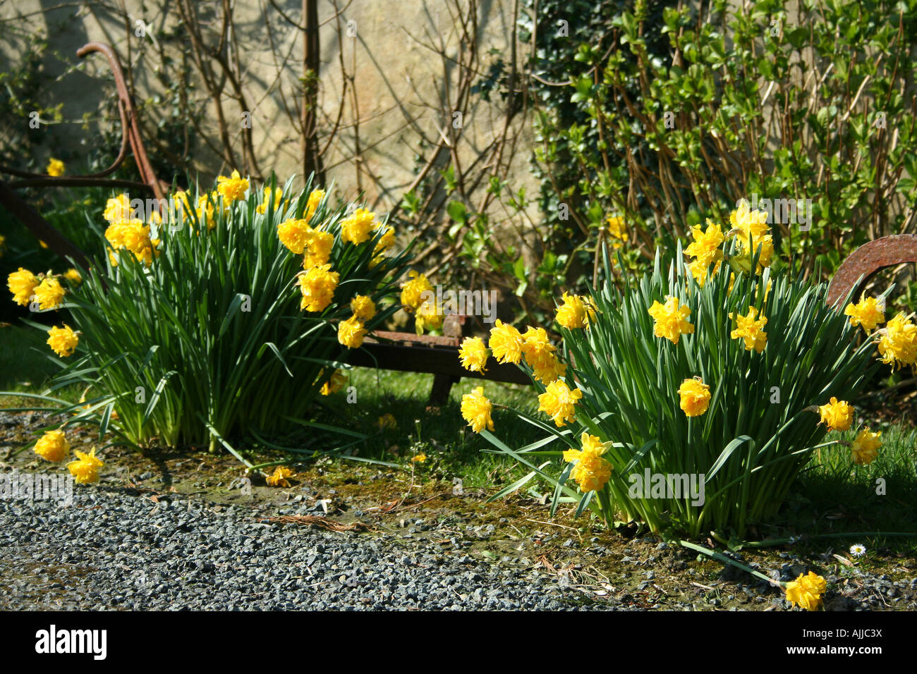 Sign spring arrived hi-res stock photography and images - Alamy