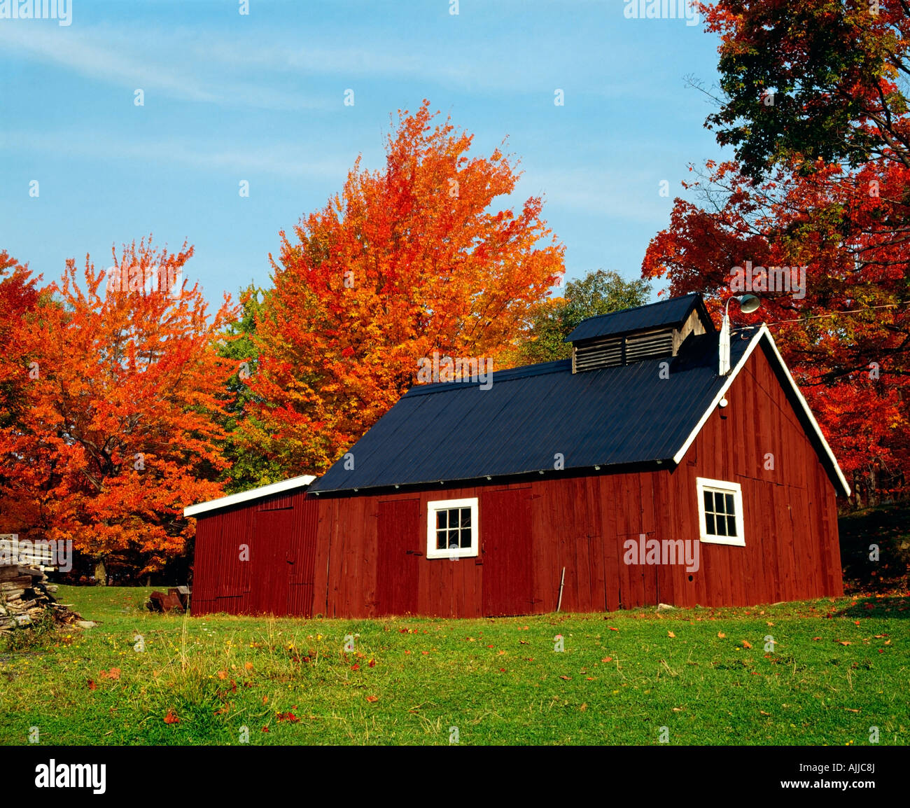 Sugar house with fall trees Stock Photo - Alamy