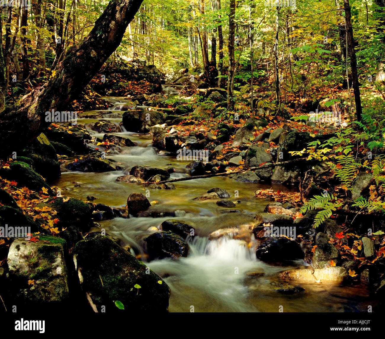 Babbling brooks hi-res stock photography and images - Alamy
