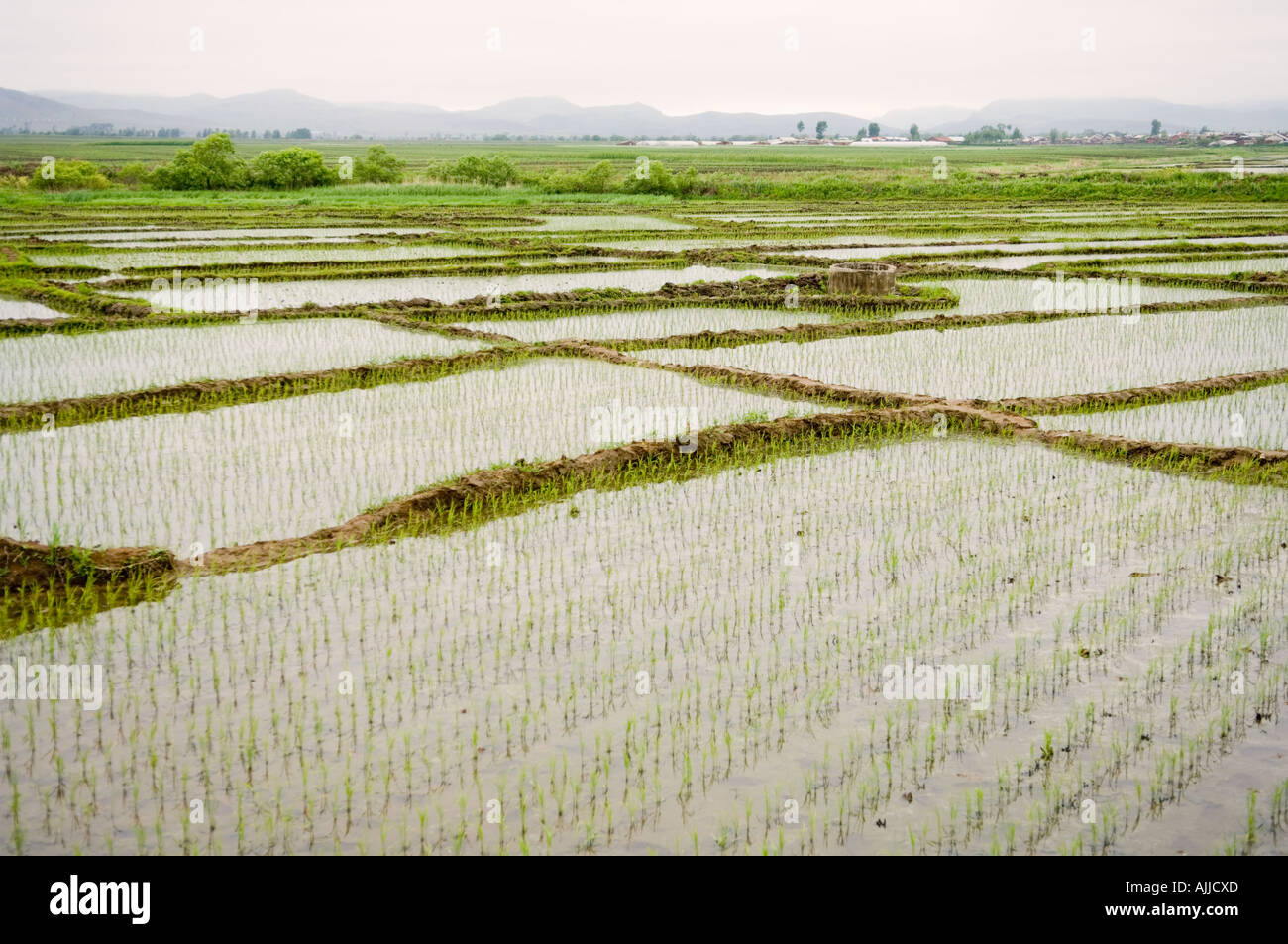 Planting field in north east China Dongbei province Stock Photo - Alamy