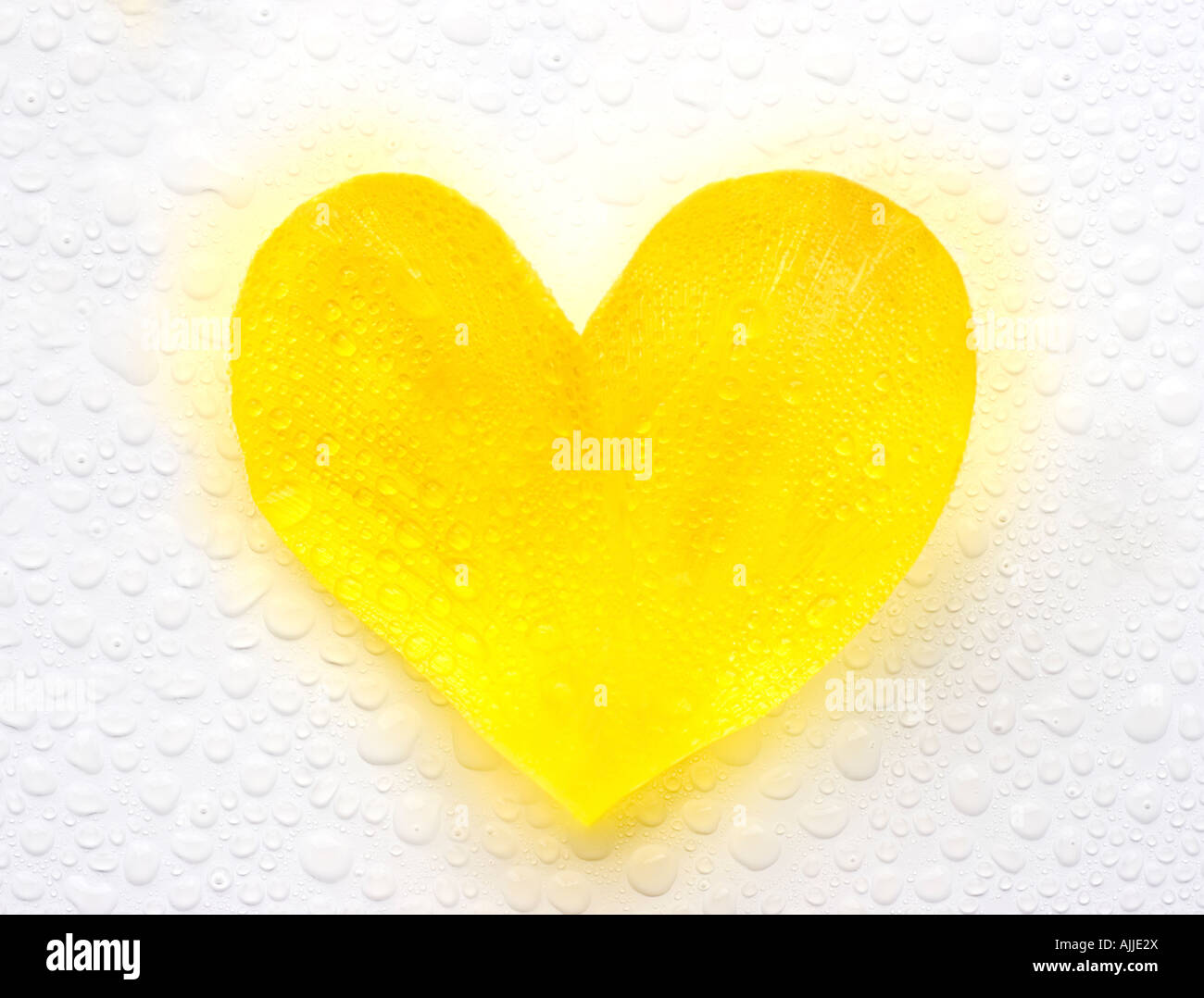 Wetheart hi-res stock photography and images - Alamy