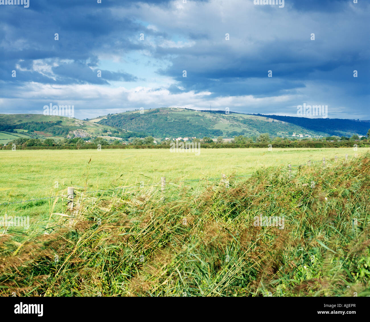 The south Mendip Hills viewed from Lower Weare on the Somerset levels ...