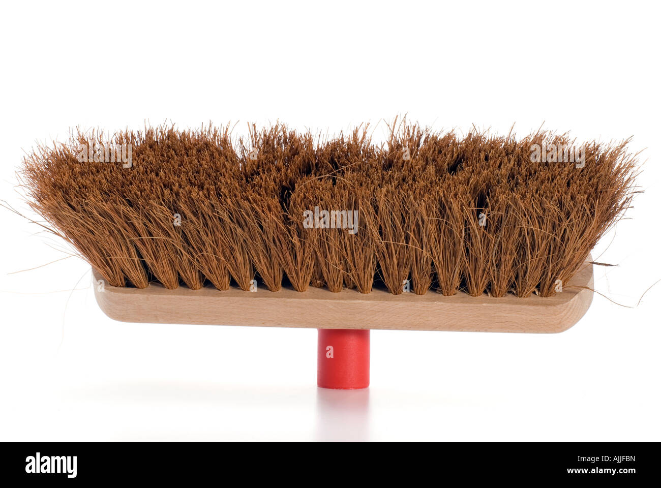 Bristles on head hi-res stock photography and images - Alamy