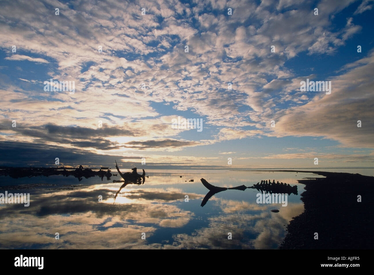 Bowhead whale bone hi-res stock photography and images - Alamy