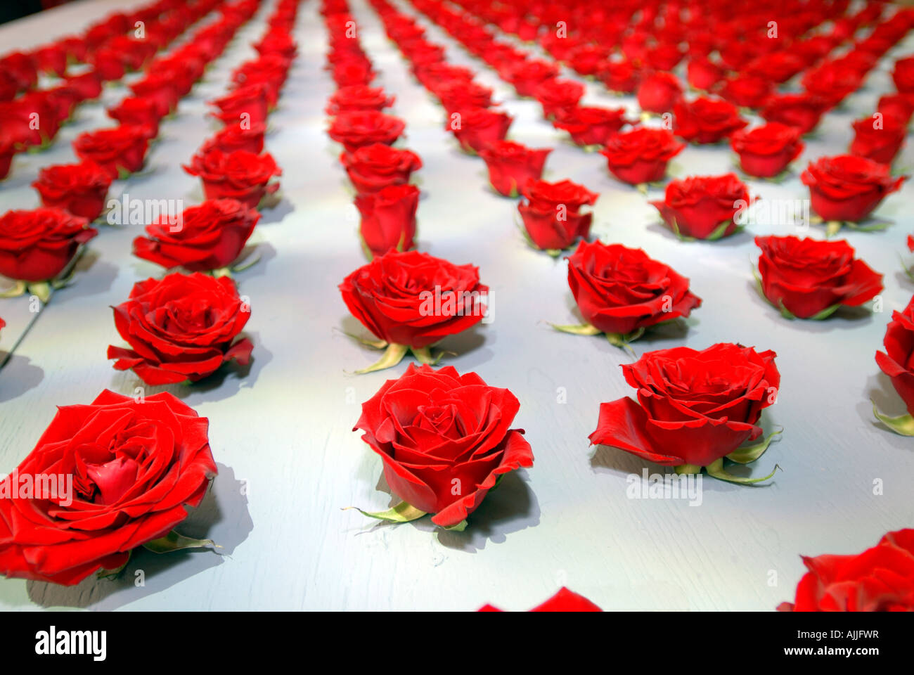 Decorative display of roses Stock Photo - Alamy
