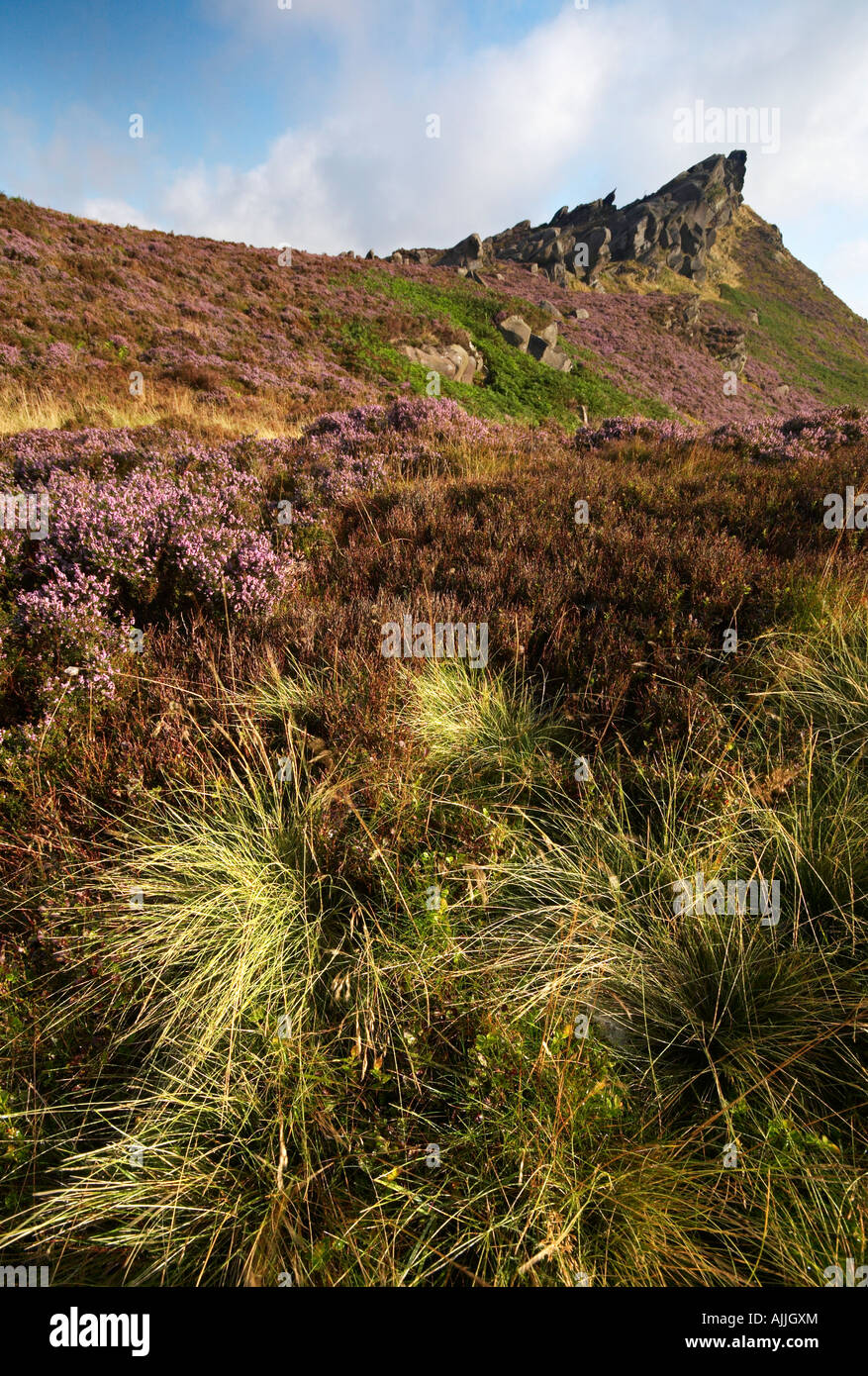 The Famous Ridge Line Of Ramshaw Rocks The Roaches Staffordshire UK ...