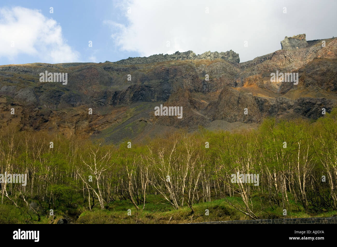 Changbai Mountain Natural Scenery Area Dongbei Province China Stock ...