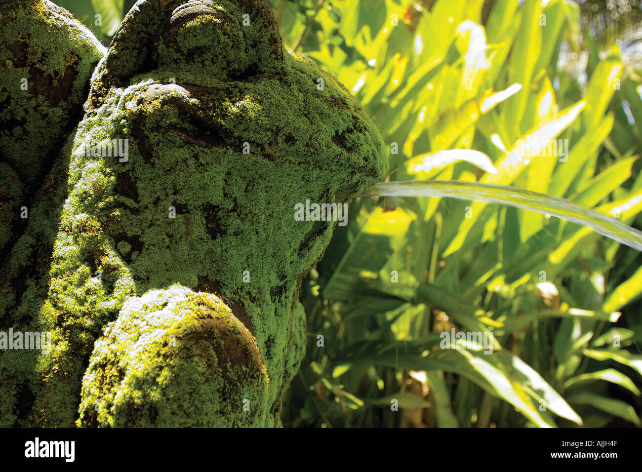 Close up moss covered statue hi-res stock photography and images - Alamy