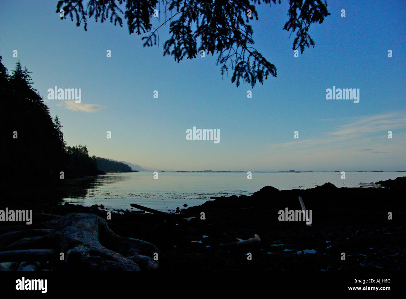 Kyuquot Sound at sunrise Stock Photo - Alamy