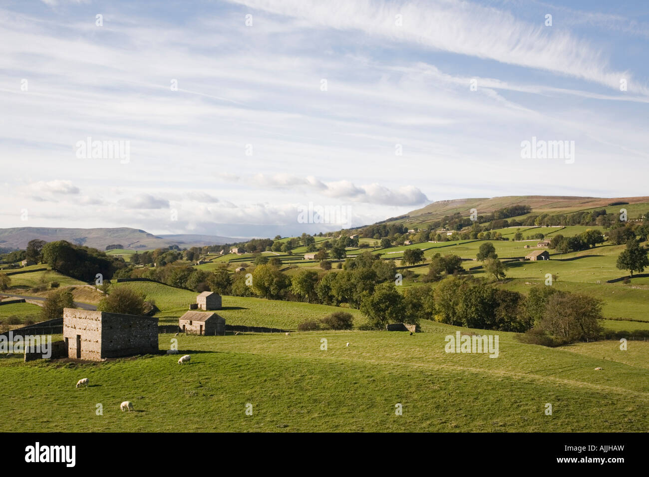 Typical rural farmland landscape in Wensleydale valley in Yorkshire ...