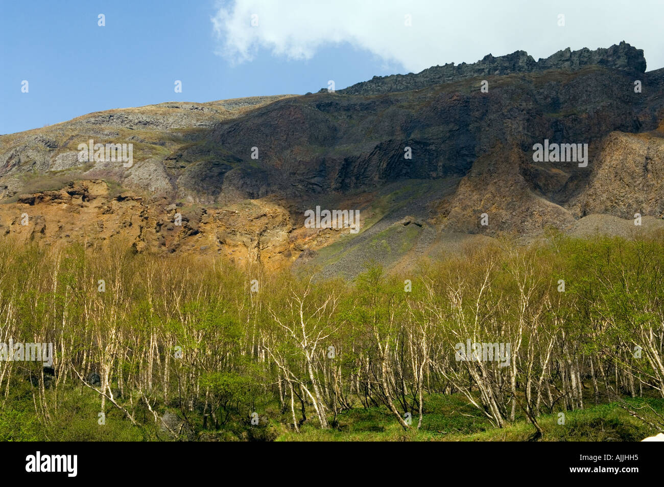 Changbai Mountain Natural Scenery Area Dongbei Province China Stock ...