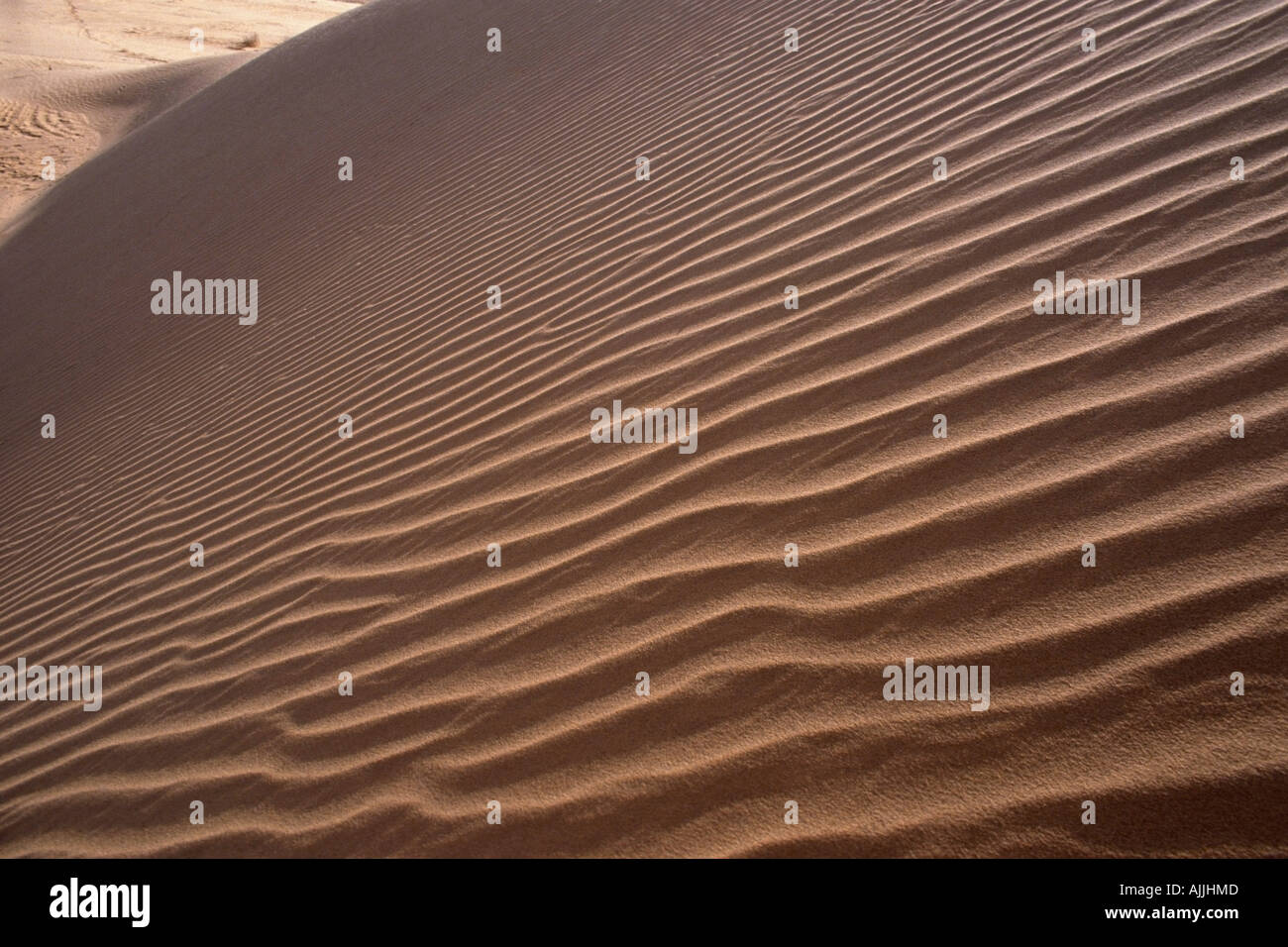 Wind swept ridge hi-res stock photography and images - Alamy