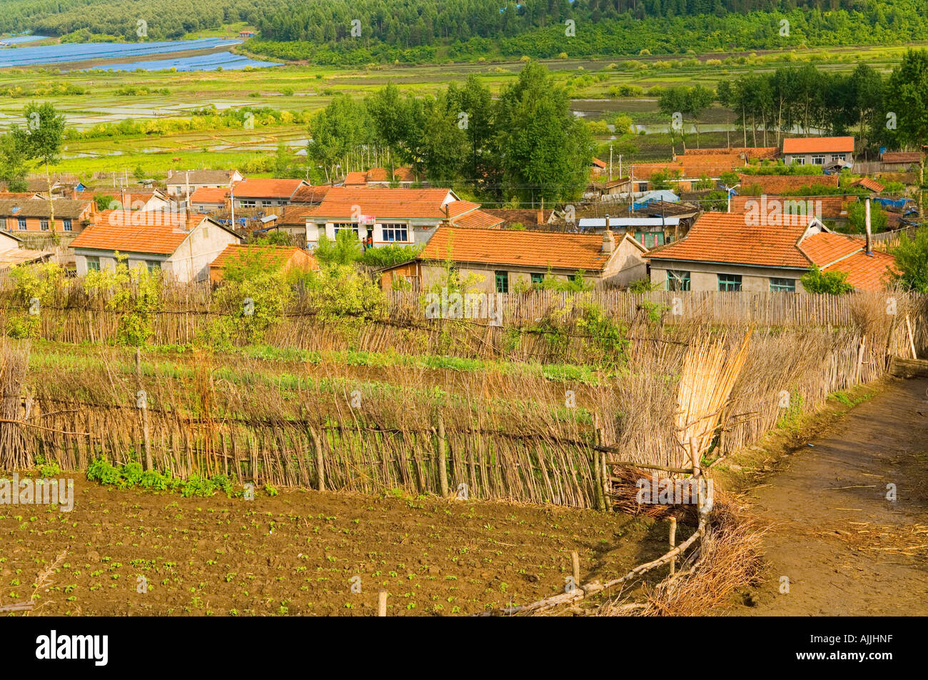 Changbai Mountain Natural Scenery Area Dongbei Province China Stock ...
