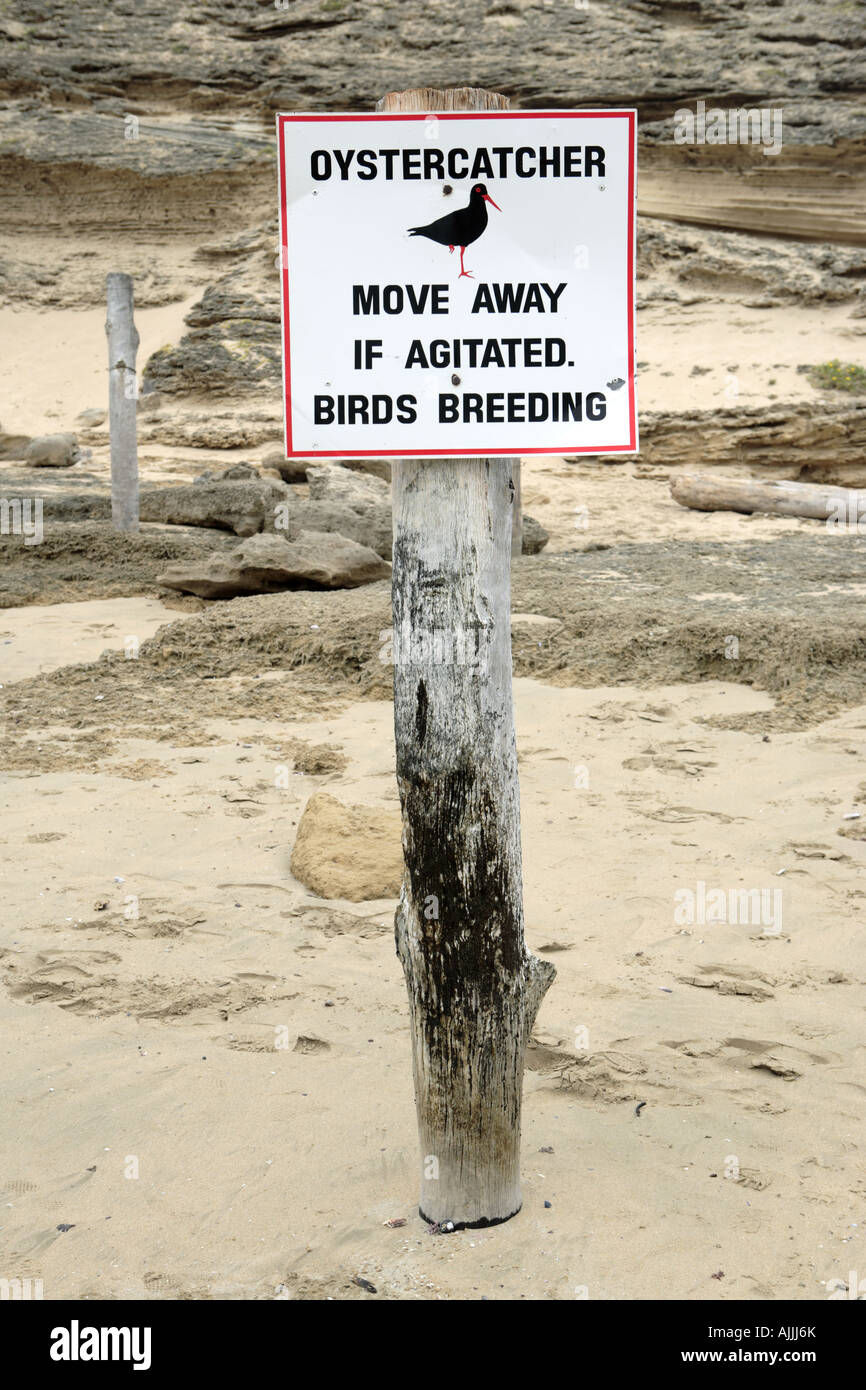 Sign warning away from Oystercatcher breeding grounds Stock Photo - Alamy