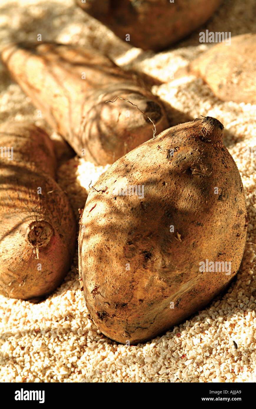 Root vegetables sand hi-res stock photography and images - Alamy