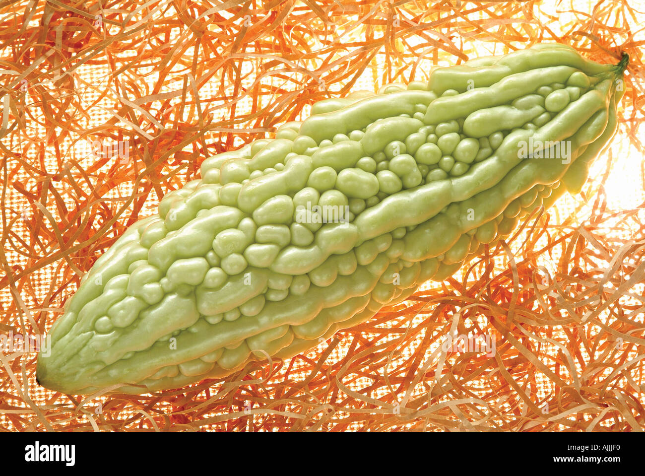 Dry bitter gourd hi-res stock photography and images - Alamy