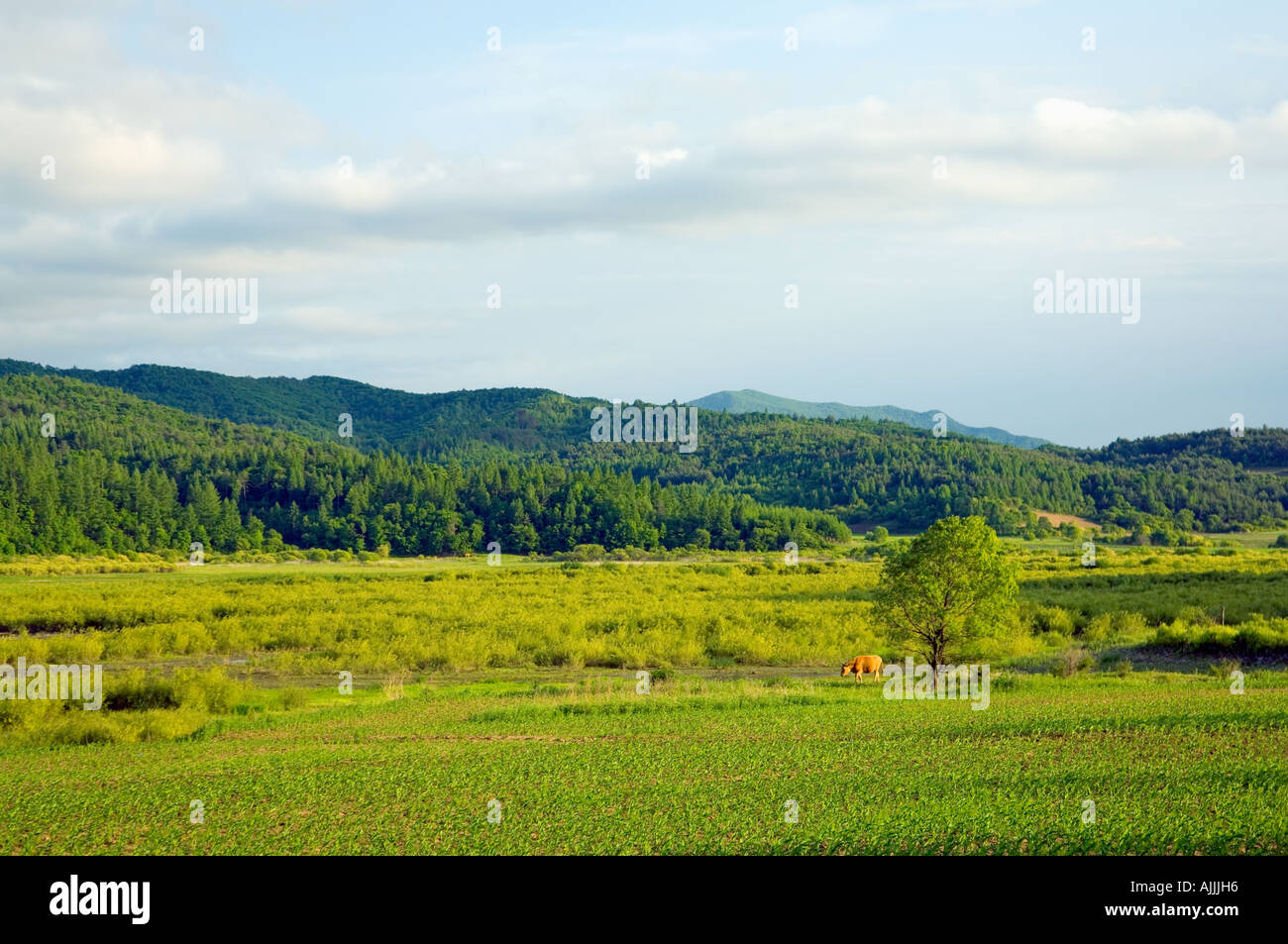 Changbai Mountain Natural Scenery Area Dongbei Province China Stock ...