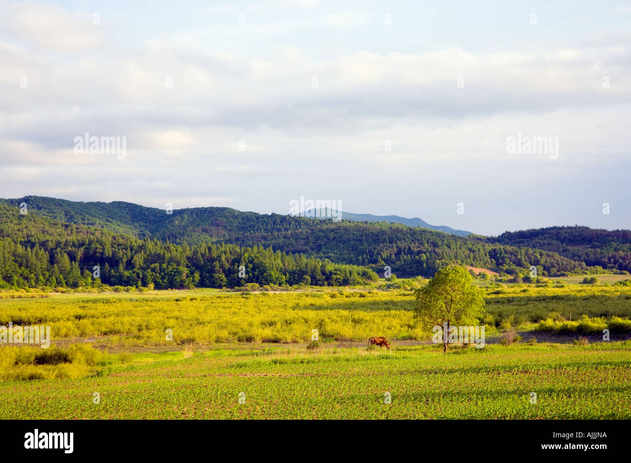 Changbai Mountain Natural Scenery Area Dongbei Province China Stock ...
