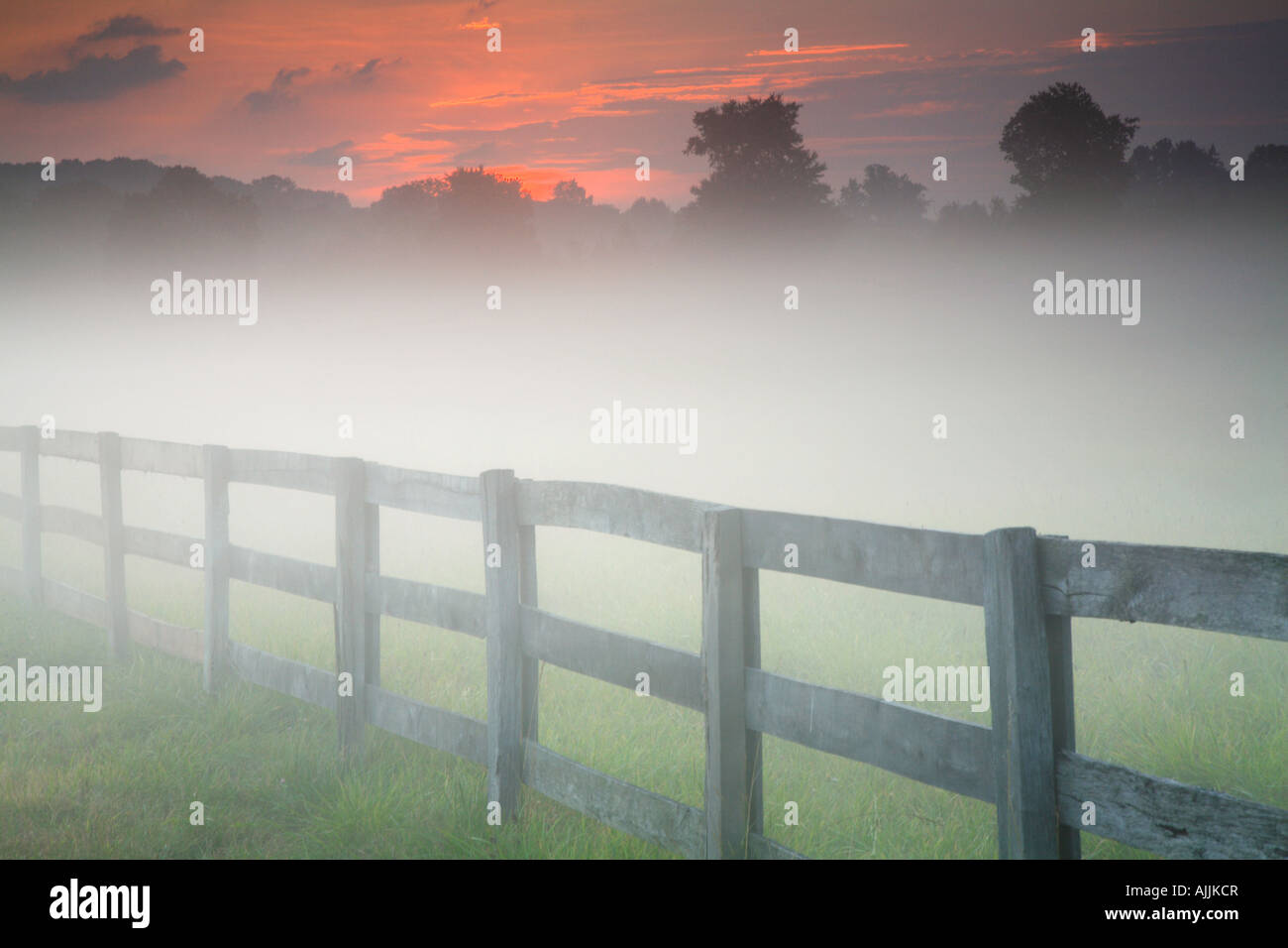 Fog fences hi-res stock photography and images - Alamy