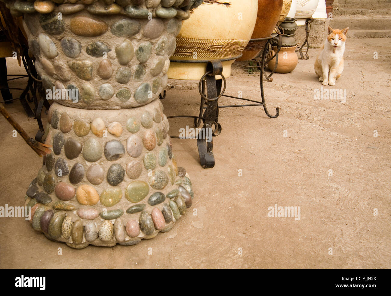 Disheveled cat hi-res stock photography and images - Alamy
