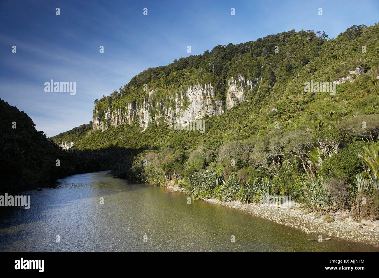 Native Bush and Pororari River Gorge Paparoa National Park West Coast ...