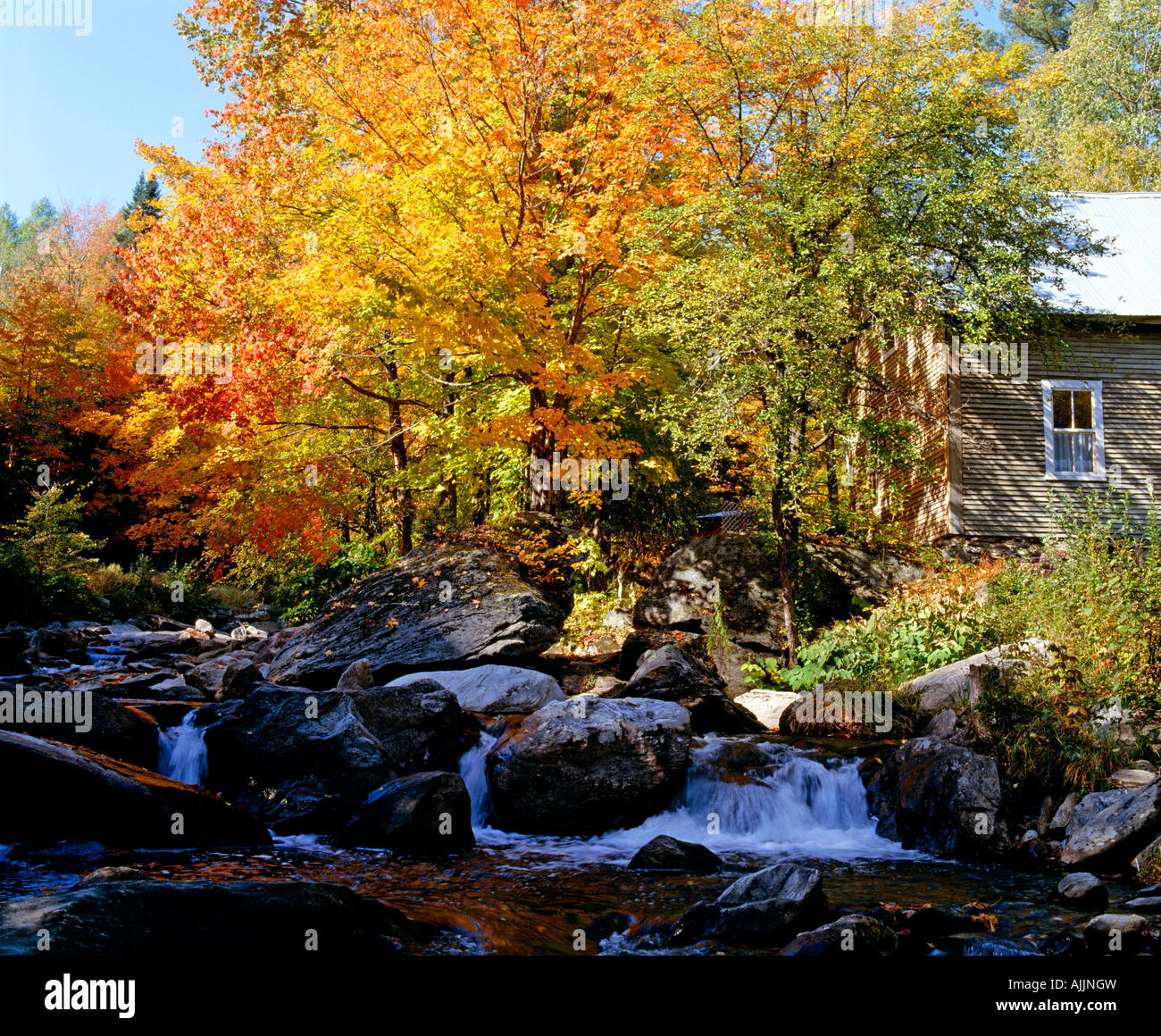 Fall tree on a rocky river with a cabin Stock Photo - Alamy