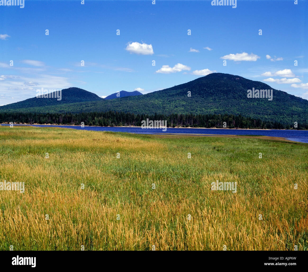 Grassy riverbanks hi-res stock photography and images - Alamy