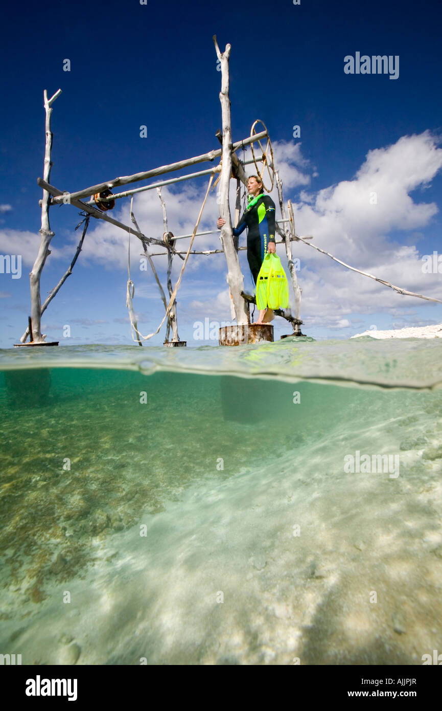 Under over views in shallow water at Toau Atoll French Polynesia Stock ...