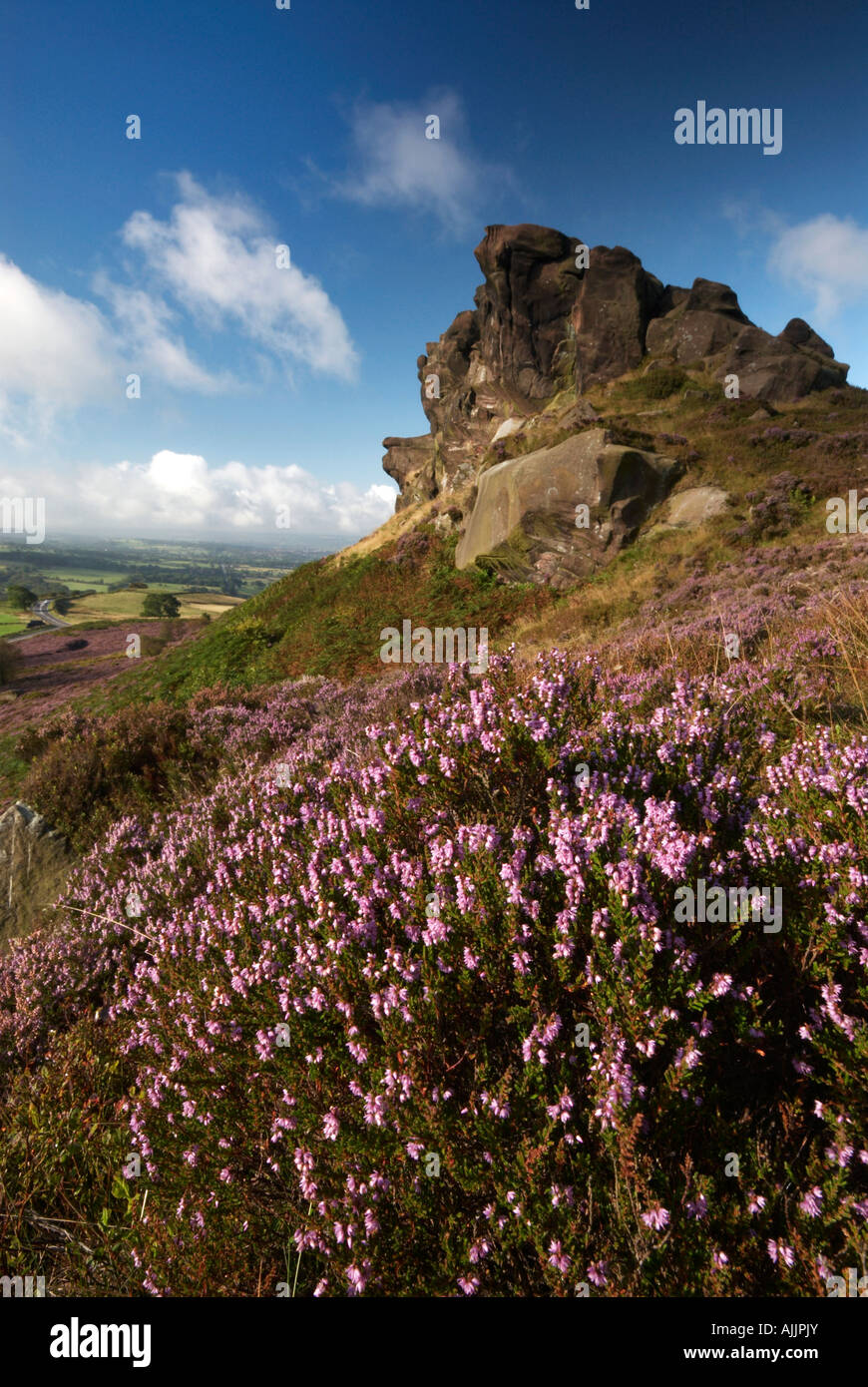 Ramshaw Rocks The Roaches Staffordshire UK Stock Photo - Alamy