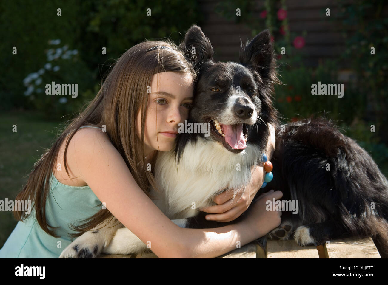 Young teenage girl hugs her best friend - a border collie Stock Photo ...