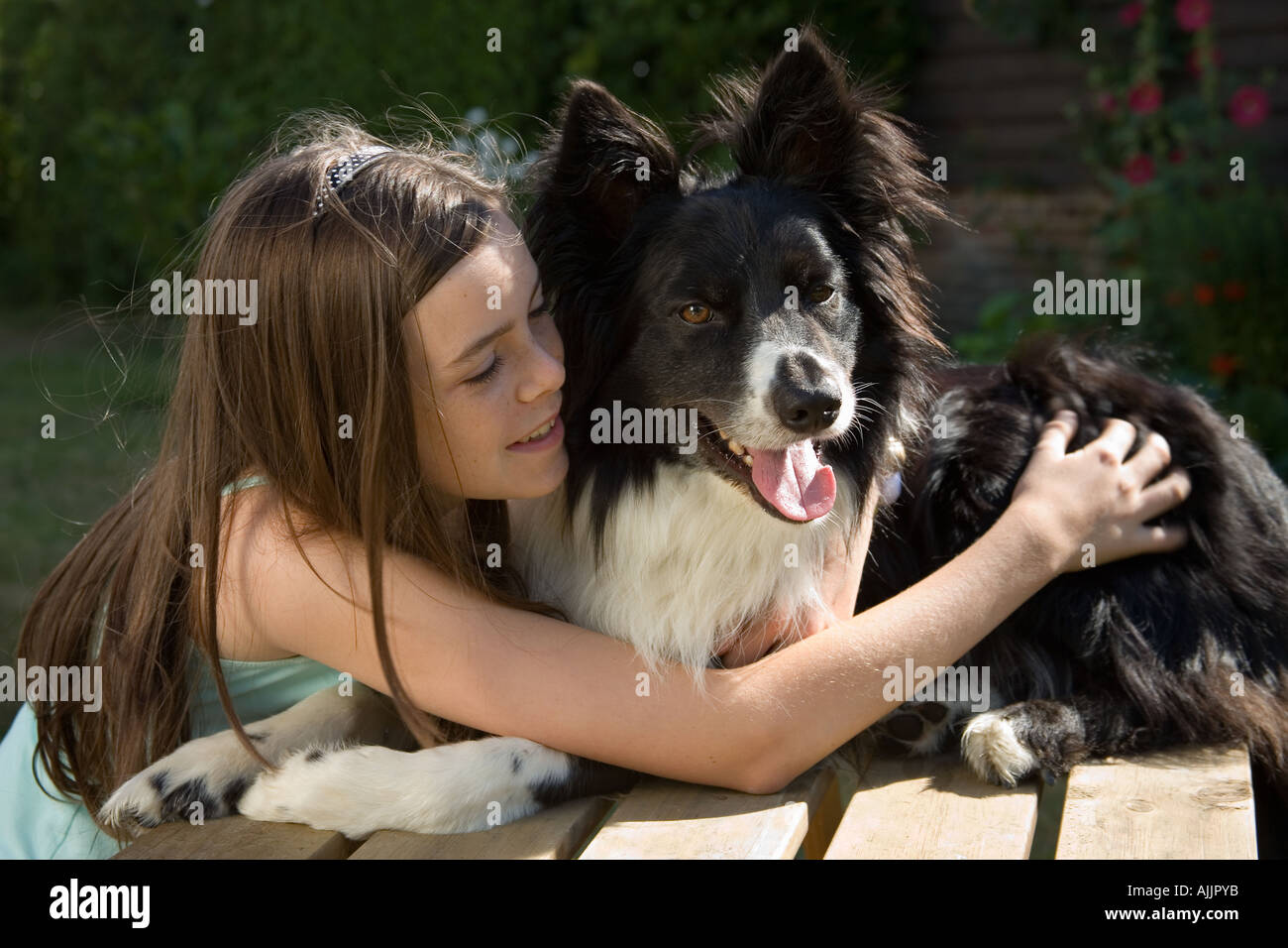 Young girl with her best friend a border collie called Chip Stock Photo - Alamy