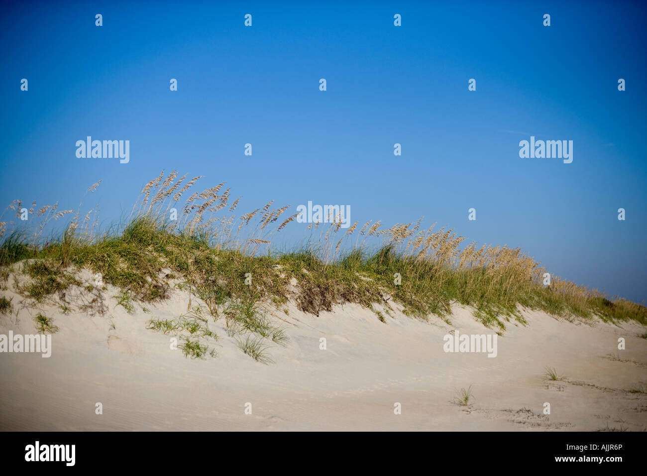 Sand dune and sky Sandbridge beach Virginia Beach VA Virginia Stock ...