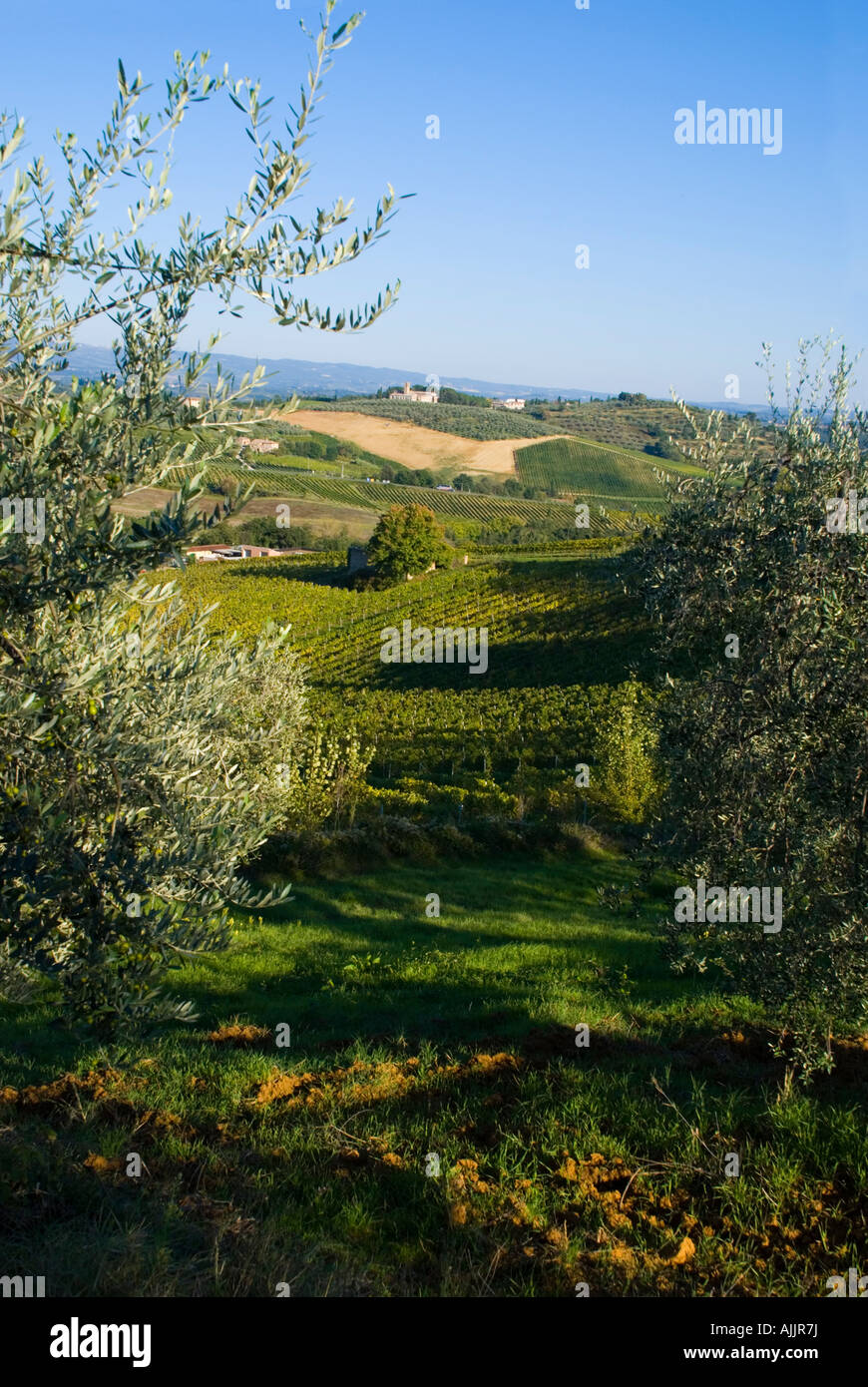 Europe Italy Tuscany landscape near san gimignano Stock Photo - Alamy