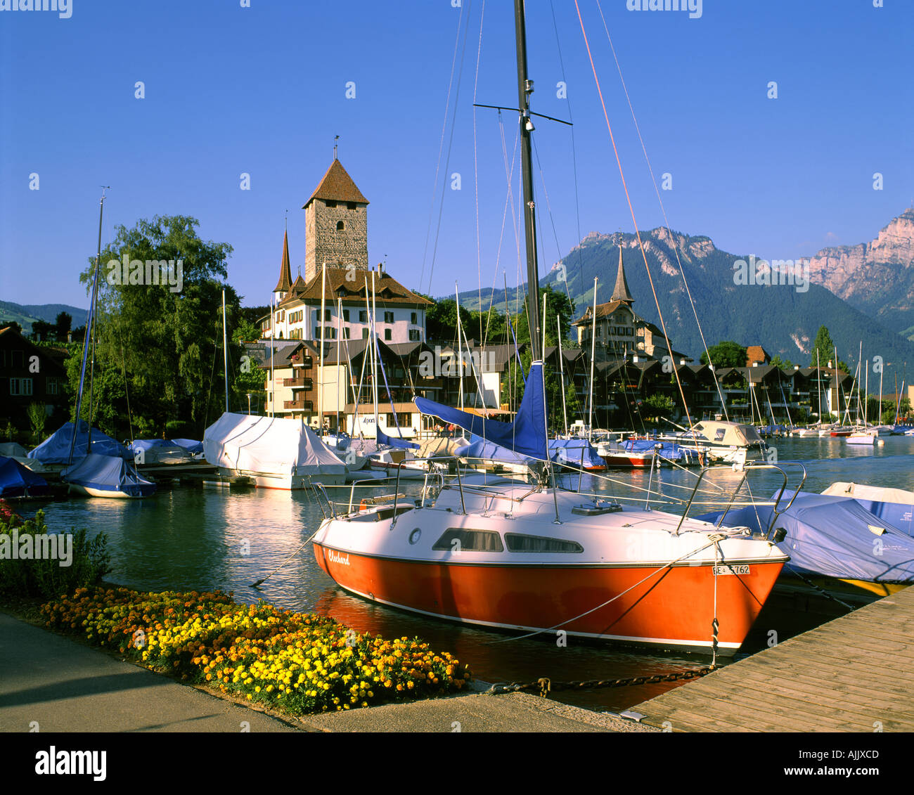 CH - BERNESE OBERLAND: Spiez Castle on Lake Thun Stock Photo - Alamy