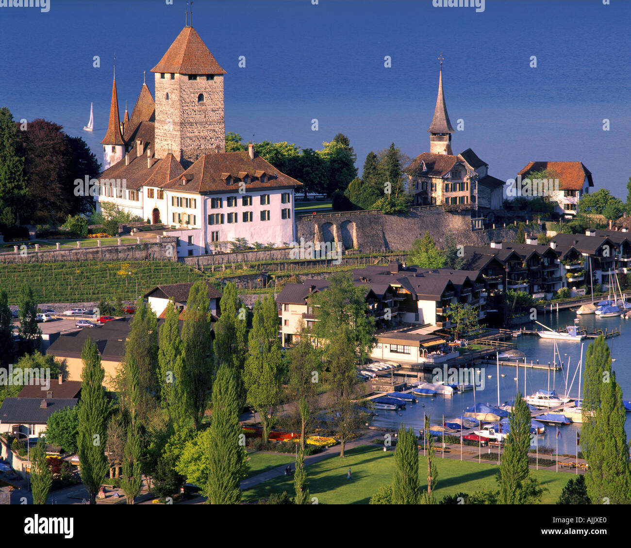 CH - BERNESE OBERLAND: Spiez Castle on Lake Thun Stock Photo - Alamy