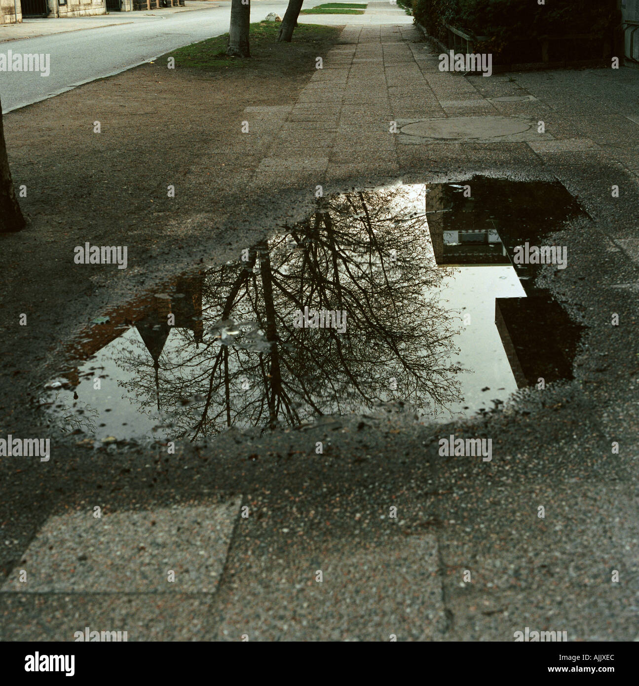 A puddle on the pavement Stock Photo - Alamy