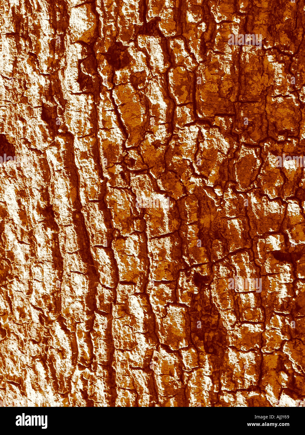 Tree bark color toned concept Stock Photo - Alamy