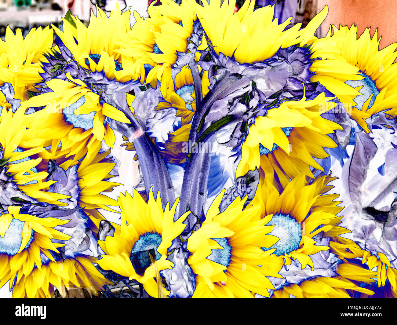 Solarized hi-res stock photography and images - Alamy