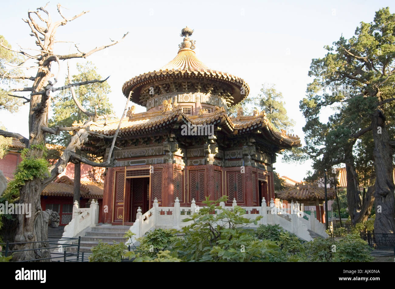 Imperial Garden in the Forbidden City Unesco Heritage Beijing China ...