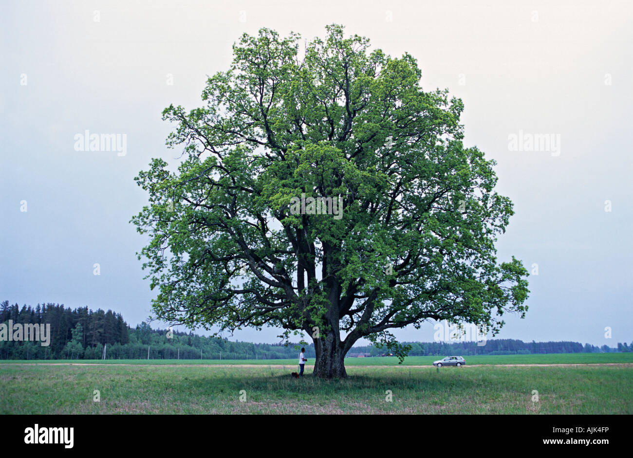 Sigle hi-res stock photography and images - Alamy